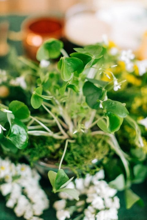 AN IRISH GARDEN TABLE SETTING | Pretty Together