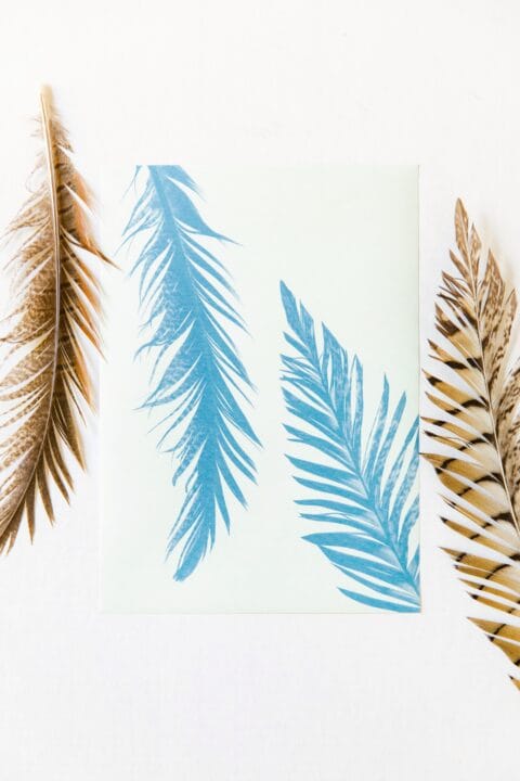 HOW TO CYANOTYPE: SOLAR PRINTING | Pretty Together