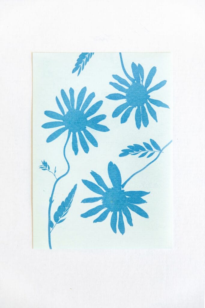 HOW TO CYANOTYPE: SOLAR PRINTING | Pretty Together