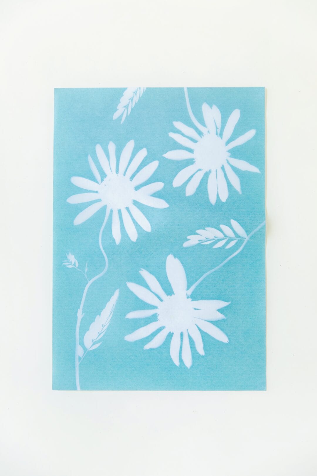 HOW TO CYANOTYPE: SOLAR PRINTING | Pretty Together