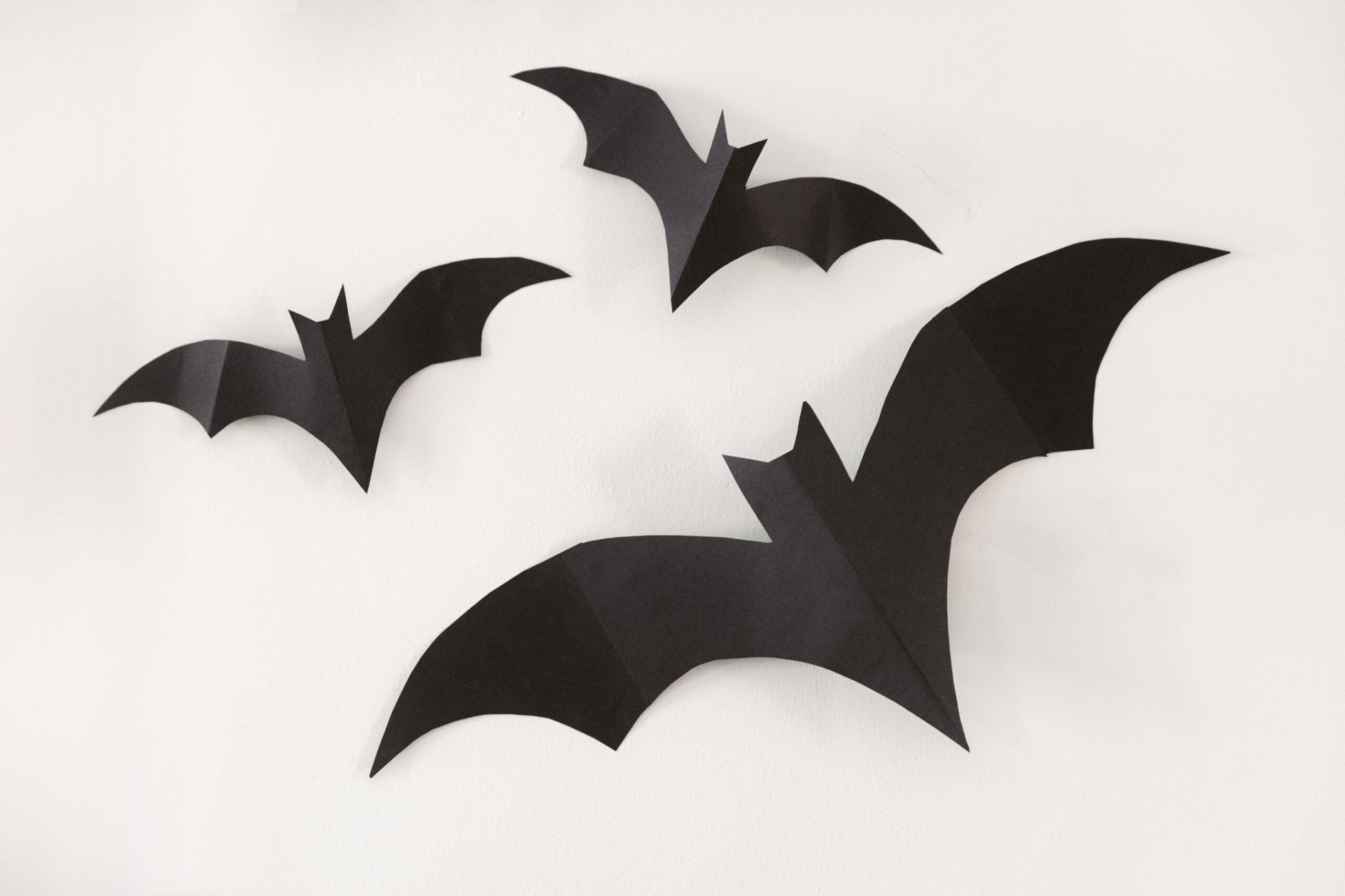DIY Bat Silhouette Templates Pretty Together