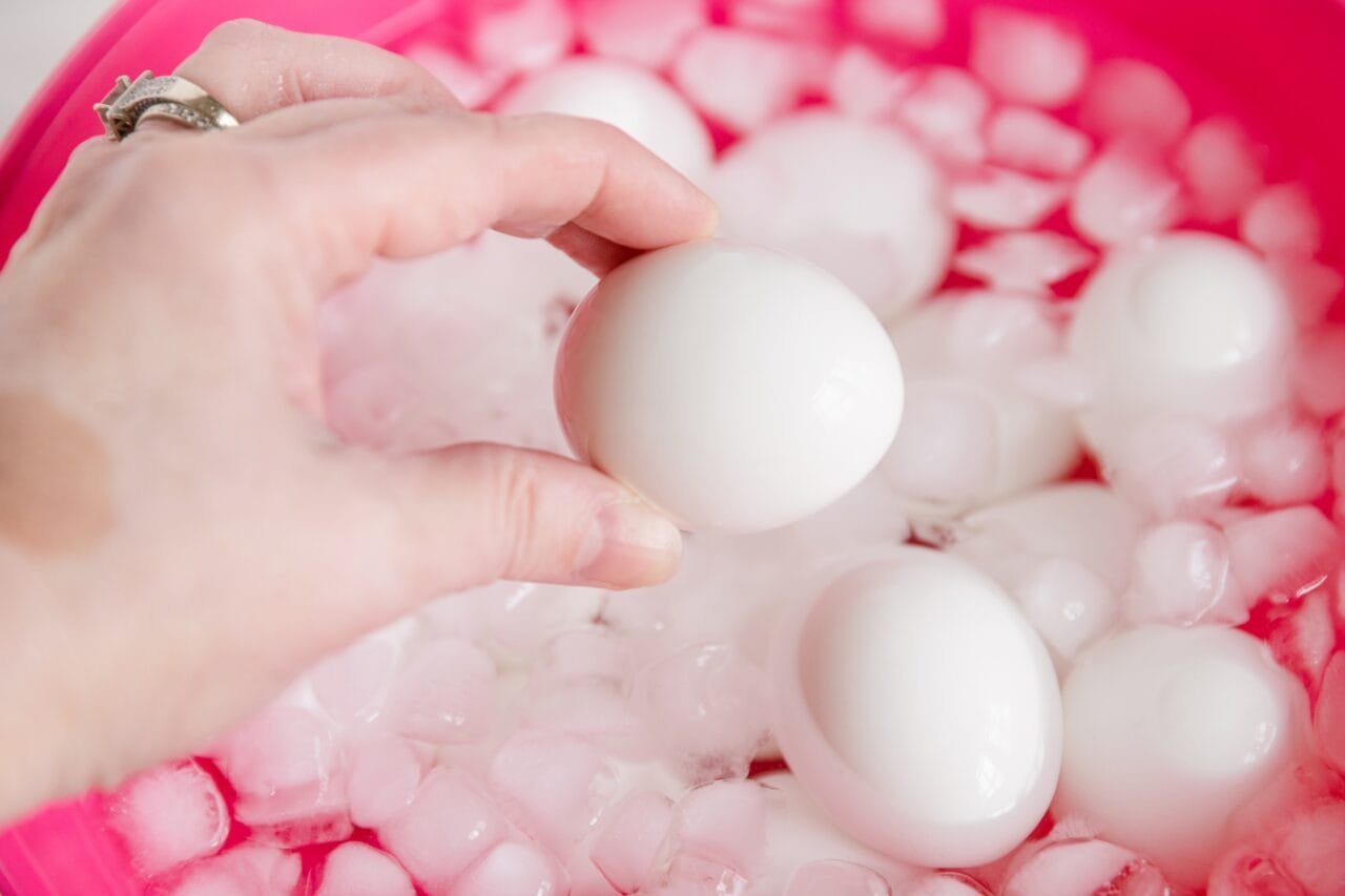 THE ULTIMATE EGG-SPERIMENT | Pretty Together