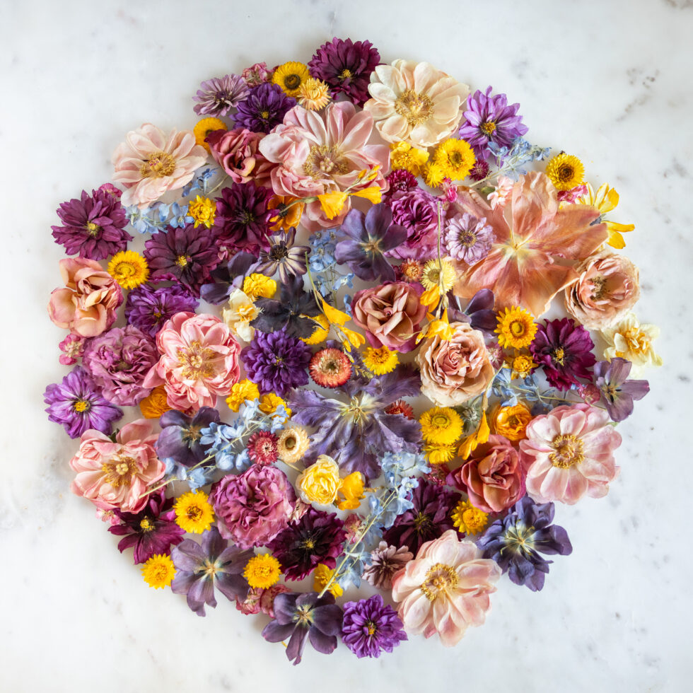 How to Dry Flowers with Silica Gel | Pretty Together