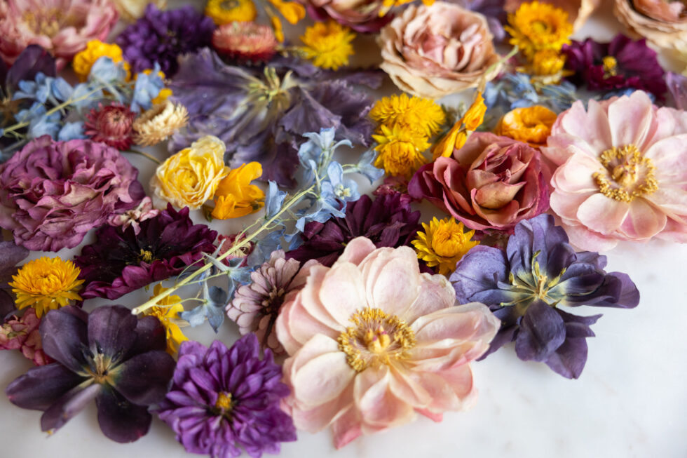 How to Dry Flowers with Silica Gel | Pretty Together