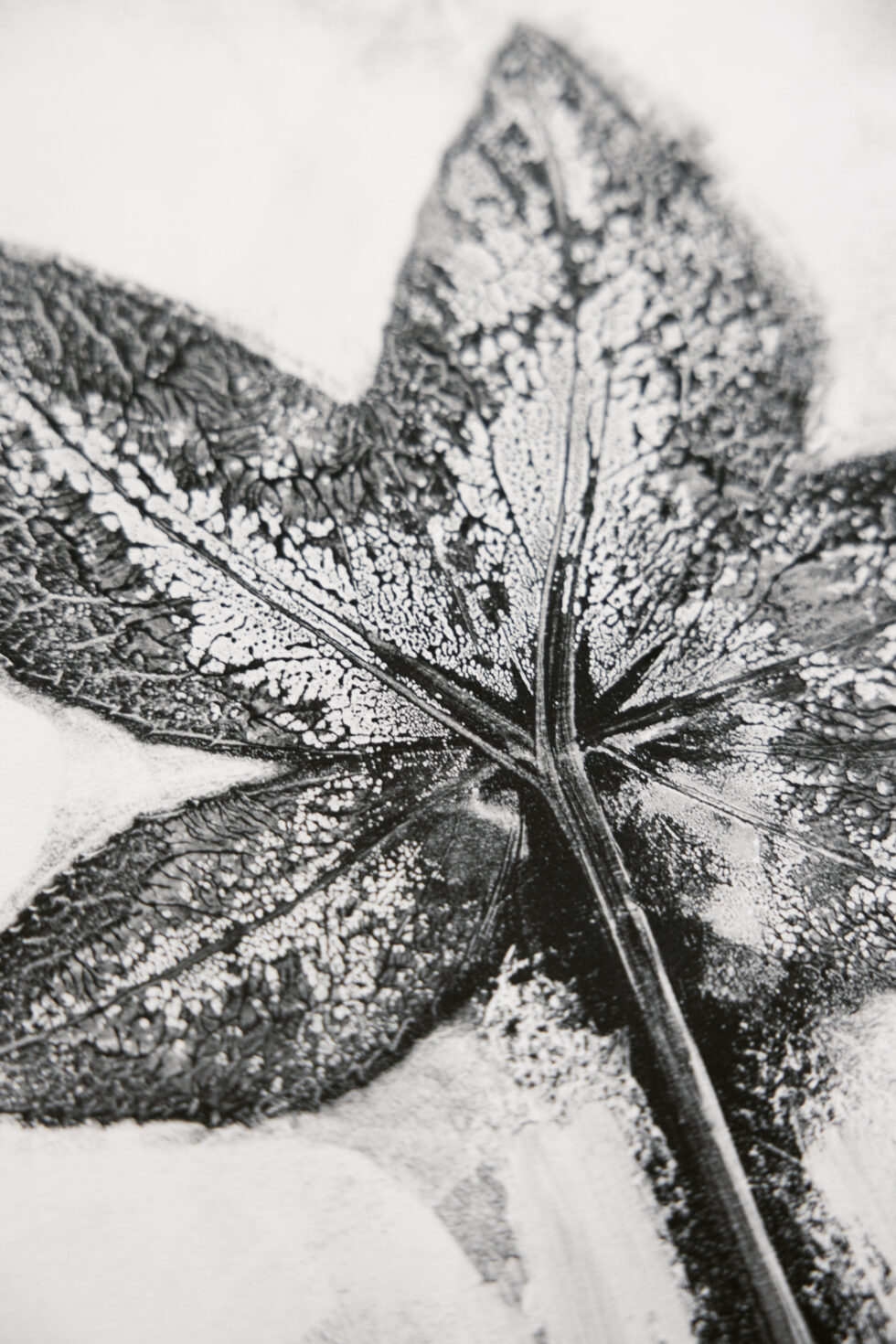 How to Create Beautiful Botanical Gelli Plate Prints | Pretty Together