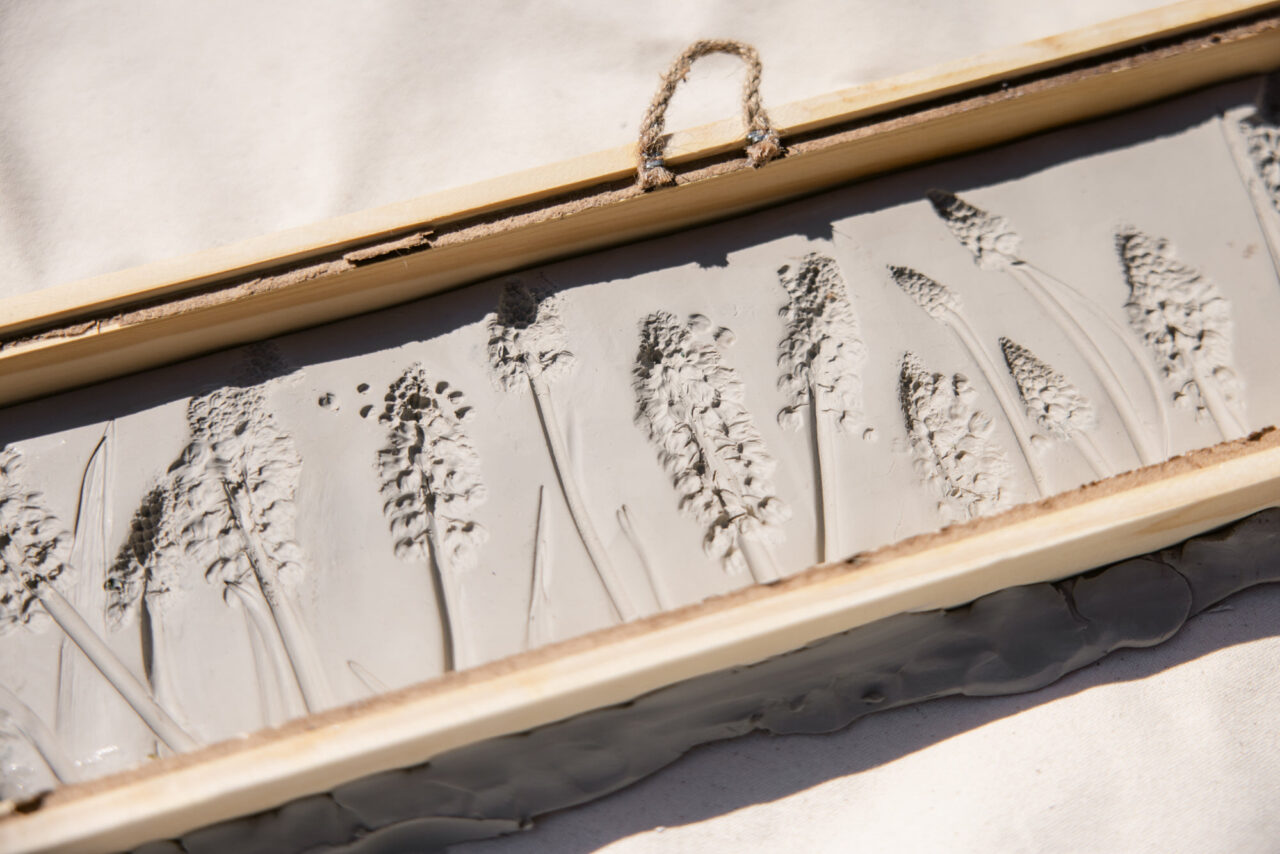 How to Make Botanical Plaster Casts (Botanical Bas-Relief Art) | Pretty ...