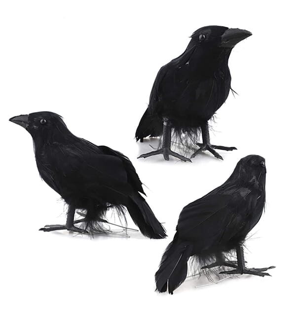 fake-realistic-black-crow-raven | Pretty Together